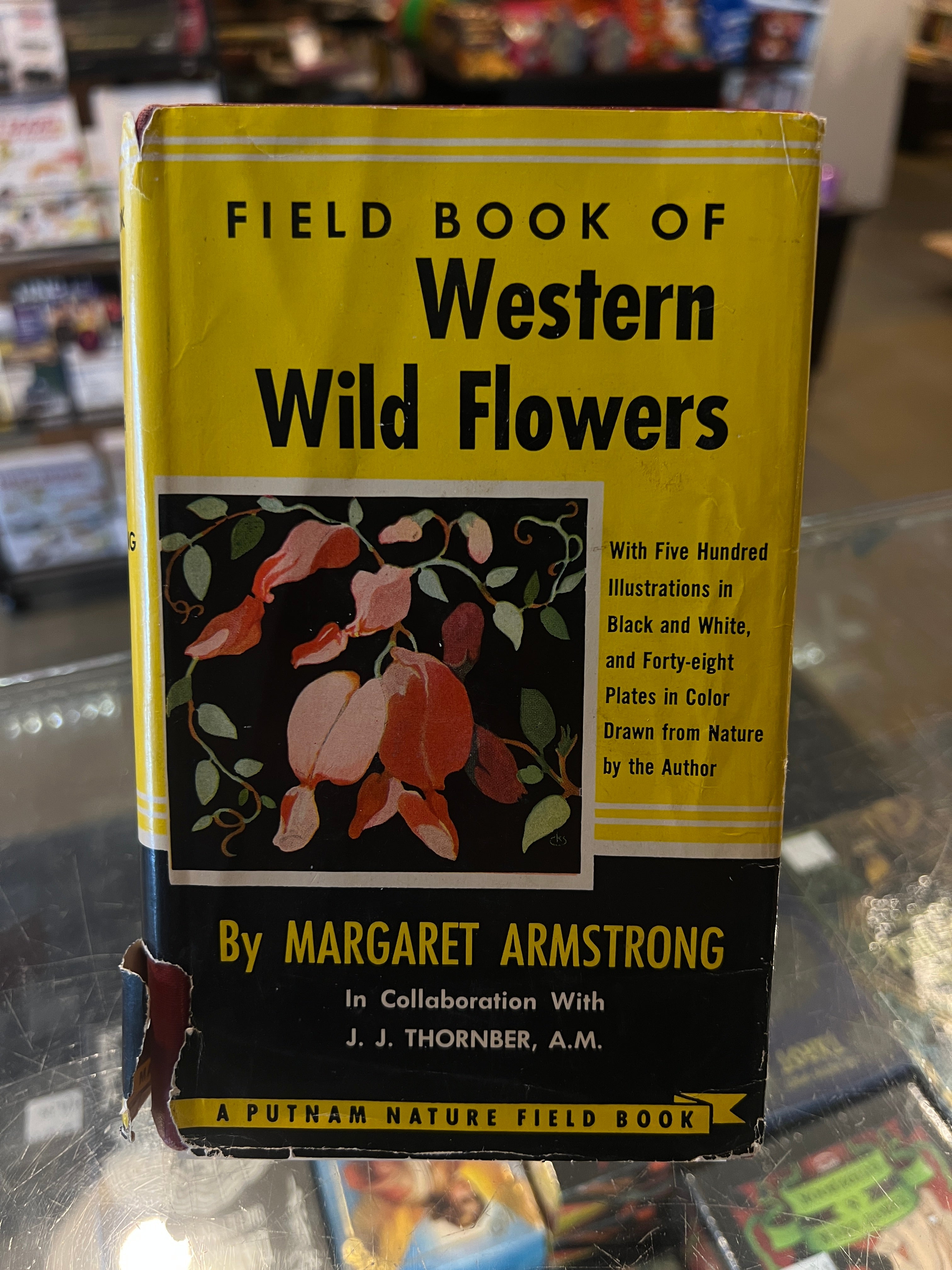 Field Book of Western Wild Flowers, by Margaret Armstrong – Books At ...